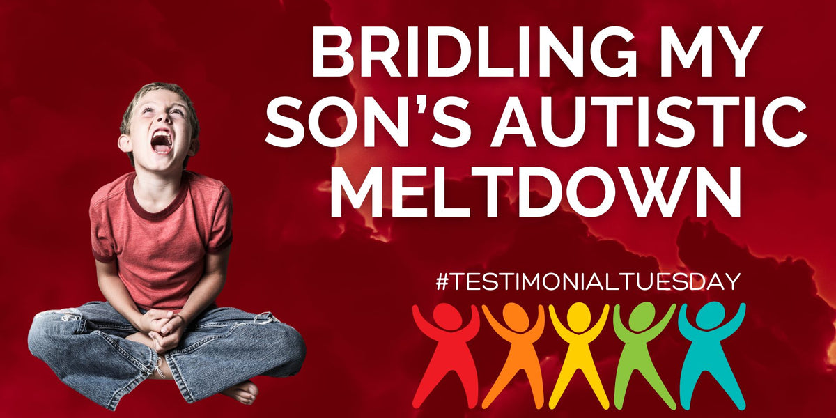 Bringing Stability Back into your Family's Life and Managing Autistic ...